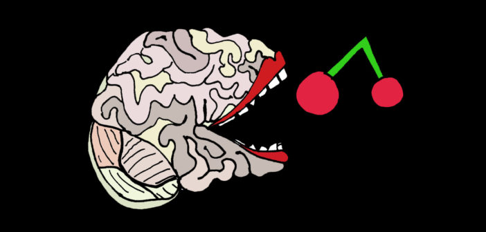 Systemische Beratung Potenzialentfaltung brainability